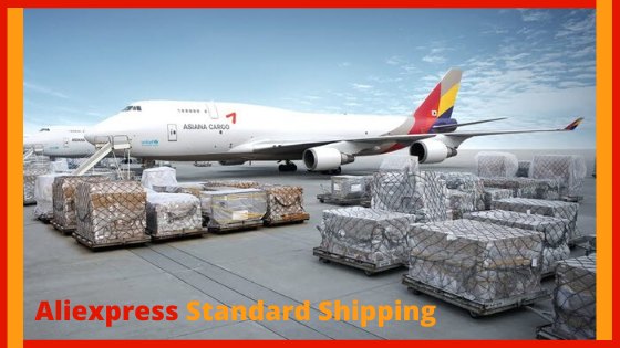 Aliexpress Standars Shipping !Método de envio recomendado!